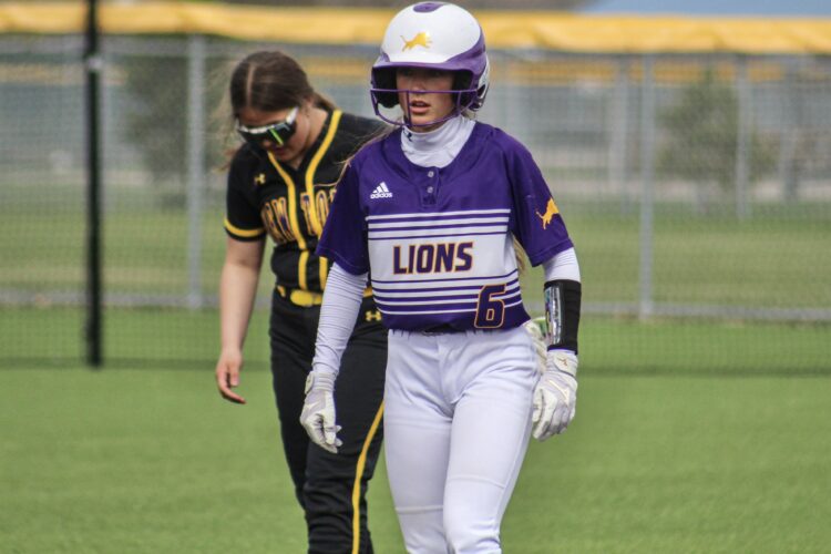 Lions battle back for big win over Eagles | News, Sports, Jobs - Minot ...